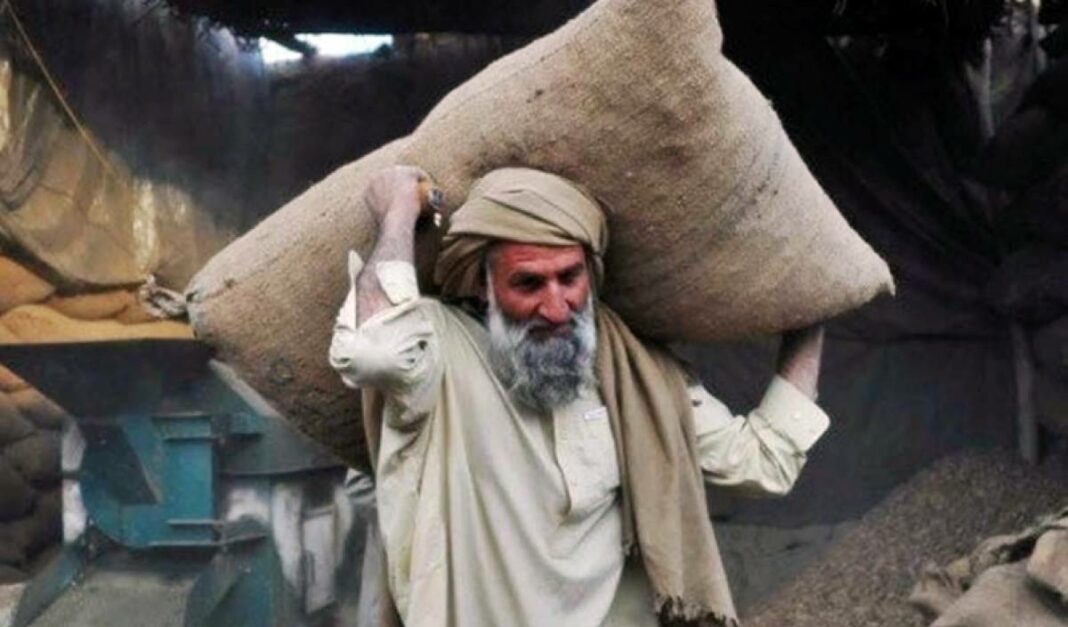 Celebrating Father's Day: Honoring Pakistani Dads