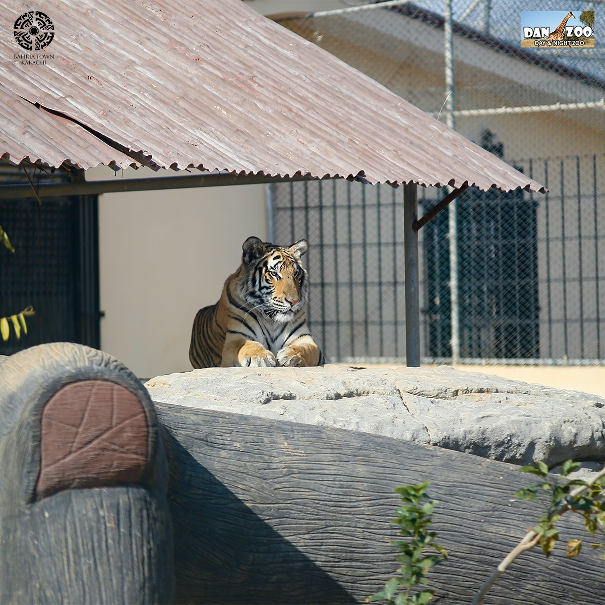 Danzoo Bahria Town | Location, Ticket Prices, and Opening Hours