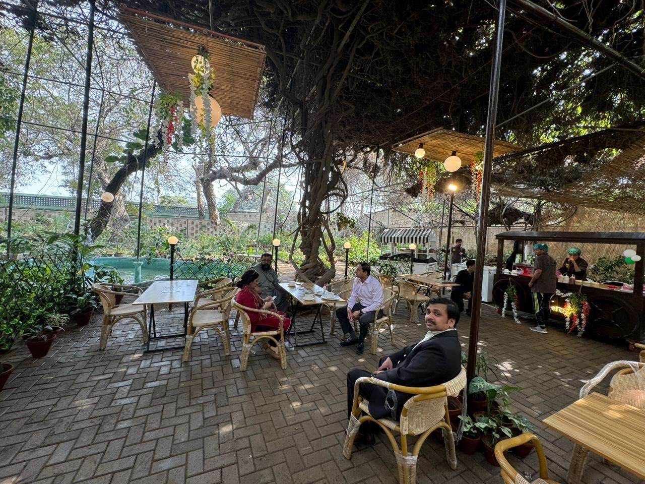 Karachi Zoo's Abandoned Area Transformed into 'Forest Cafe'