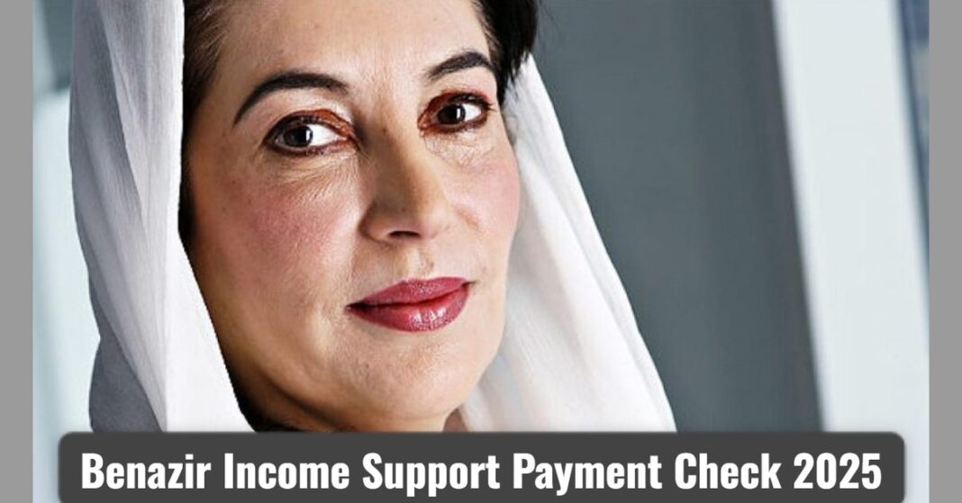 Benazir Income Support Programme: How to Check New 2025 Payments Online